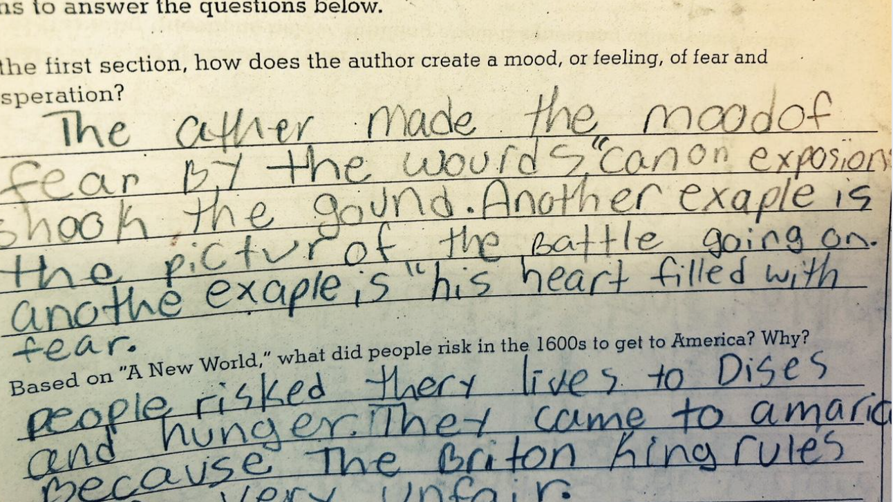 What Dyslexia Looks Like – DECODING DYSLEXIA TN